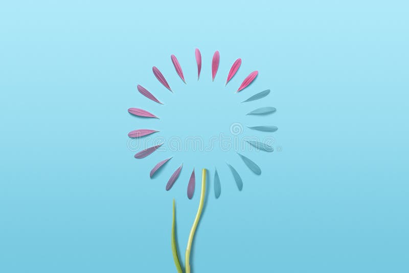 Creative Spring Concept Assembled from the Petals of a Flower in the ...