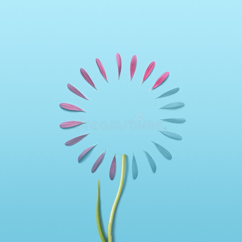 Creative Spring Concept Assembled from the Petals of a Flower in the ...