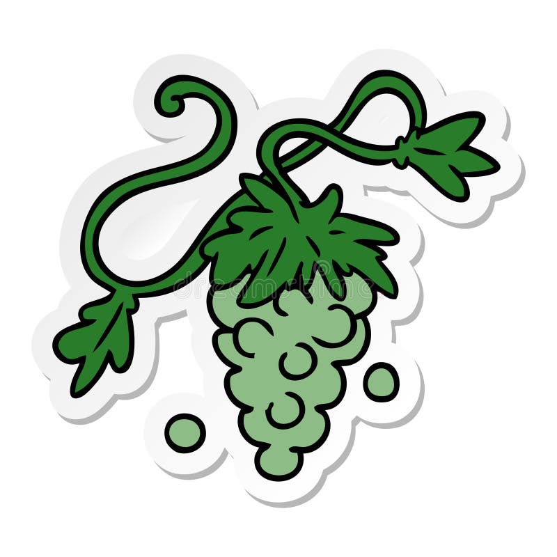 A Creative Sticker Cartoon Doodle of Grapes on Vine Stock Vector ...