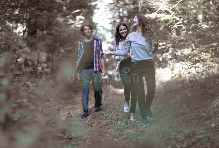 Creative Team, while Hiking in the Woods Stock Image - Image of friends ...