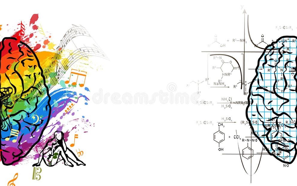 Creative and Technical Human Brain Sides Wide Concept Illustration ...