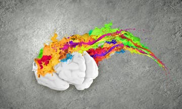205 Splatter Brain Stock Photos - Free & Royalty-Free Stock Photos from ...