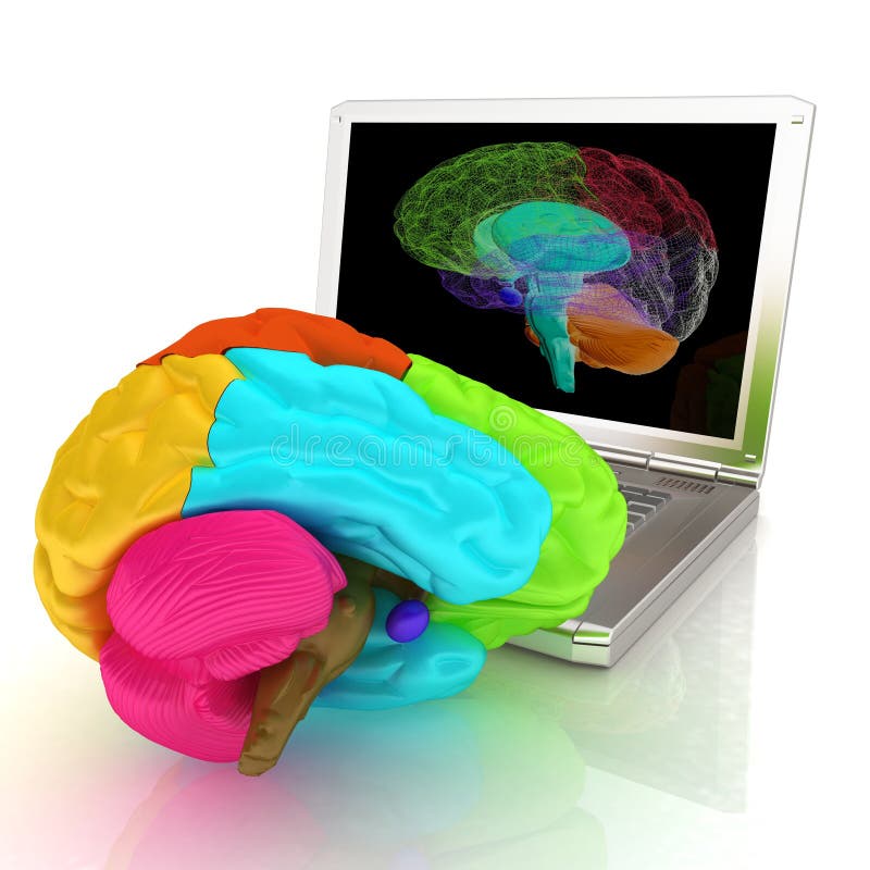 Creative Three-dimensional Model of Human Brain Scan Stock Illustration ...