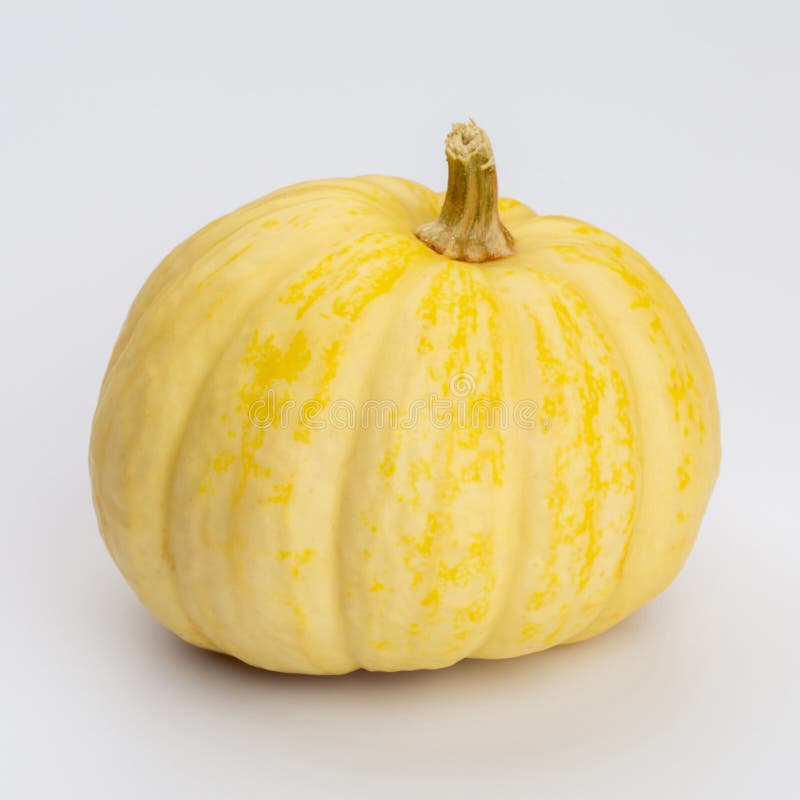 291 Fall Harvest Thanksgiving Halloween Anniversary Invitation Cards ...