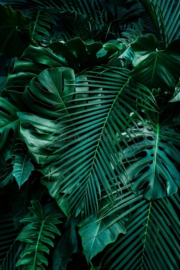 Abstract Green Leaves Texture Stock Image - Image of close, calm: 178000403