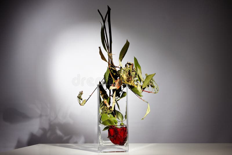 Creative Upside Down Concept - Red Rose with Head in a Flower Vase - a ...