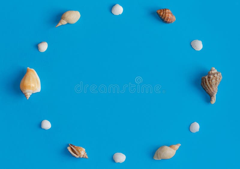 Creative Various Seashell Pattern on Pastel Blue Background with Copy ...