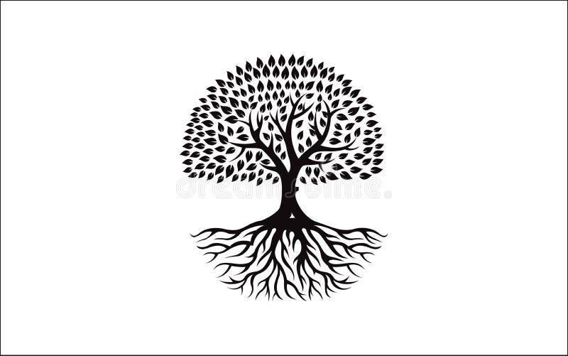 Creative Vector Graphic Silhouette of Tree with Root Vector Logo Design ...