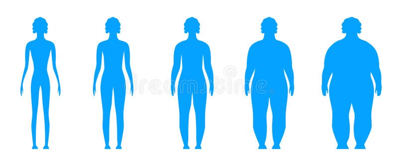 Creative Vector Illustration Of Bmi Body Mass Index Infographic Chart