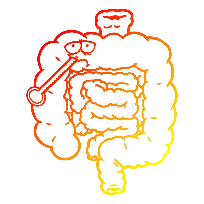 Intestines Intestinal Gut Guts Organ Human Internal Cute Cartoon Warm ...