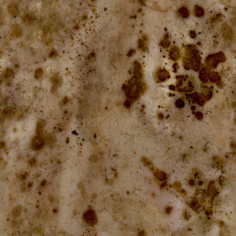 Albedo Texture Stone Stock Photos - Free & Royalty-Free Stock Photos ...