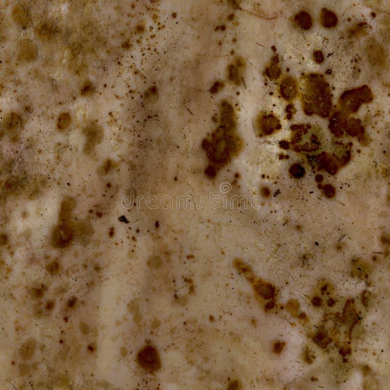 585 Albedo Texture Stock Photos - Free & Royalty-Free Stock Photos from ...