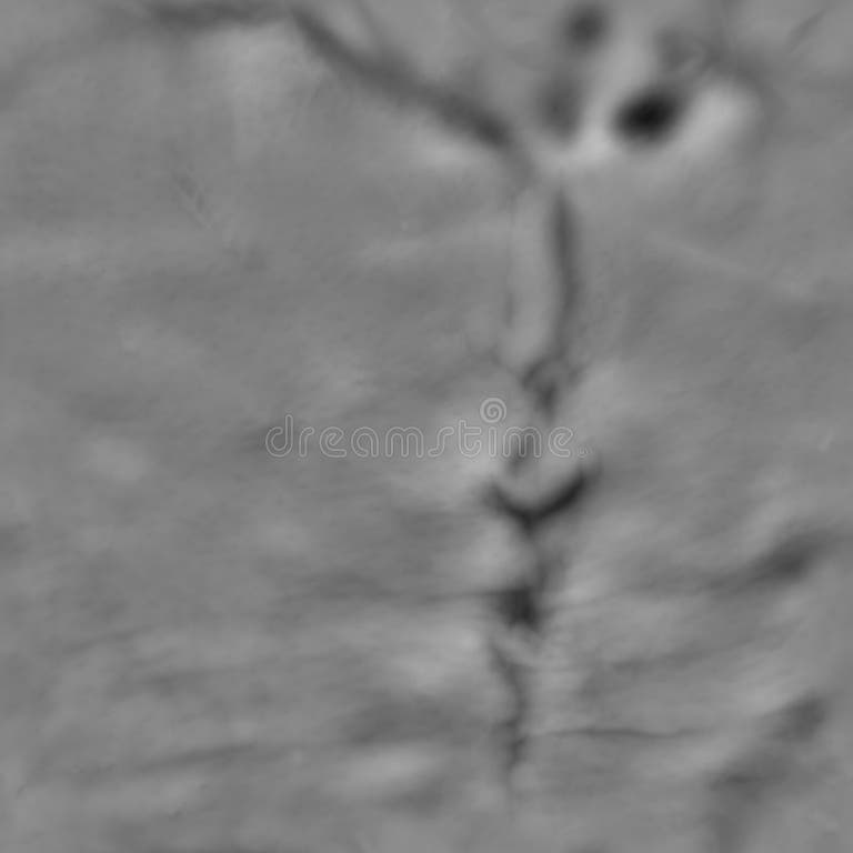 Creature Skin Displacement Map, Height Map Texture, Grayscale Map Stock ...