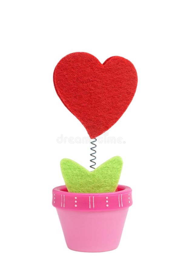 Crecimiento del corazón foto de archivo. Imagen de flor - 18408910