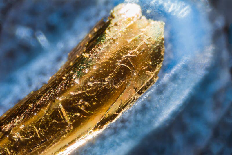 Gold Under Microscope Stock Photos - Free & Royalty-Free Stock Photos ...