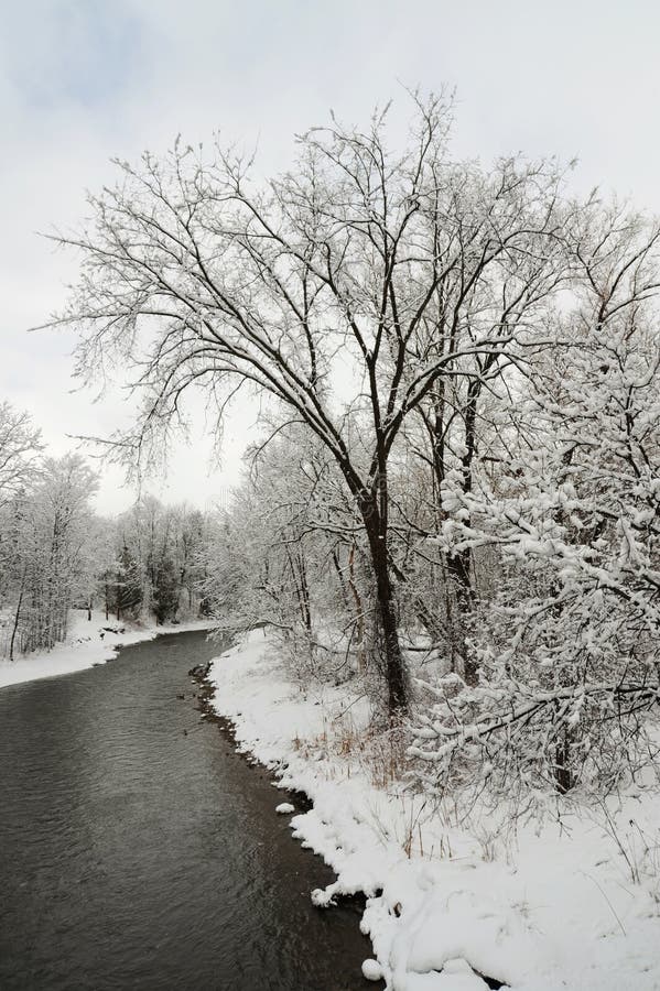 Credit River in the Cold Winter Morning Stock Image - Image of water ...