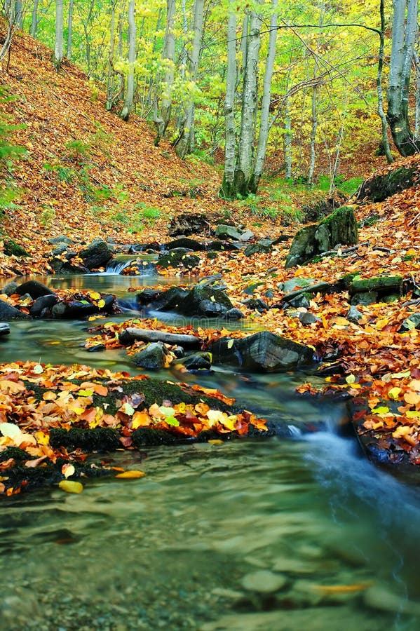 Panoramic Autumn Landscape with Forest Stream. Fall Nature Background ...