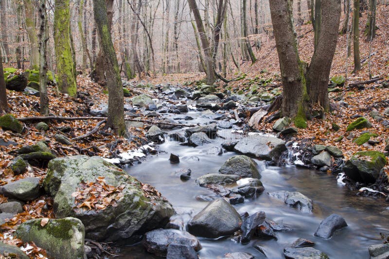 Creek in autumn forest stock photo. Image of fall, landscape - 23092706