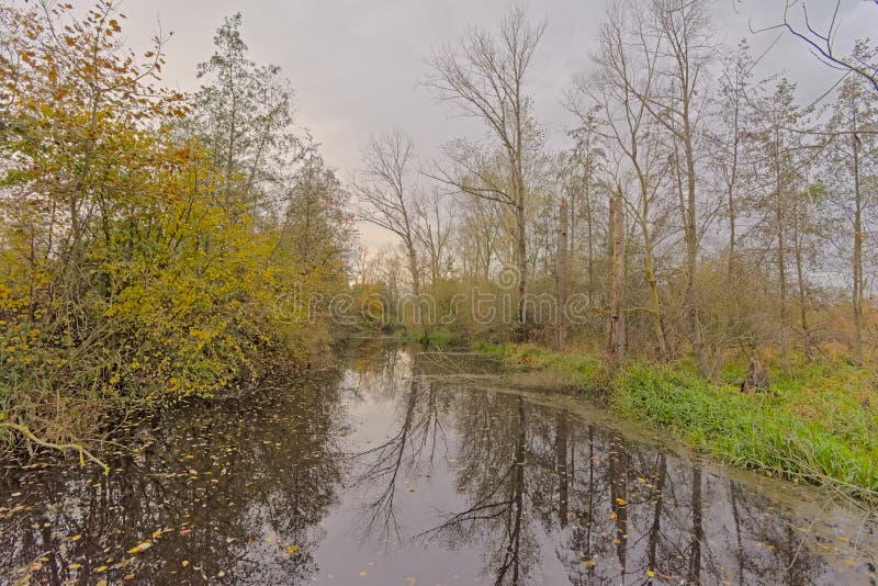 Creek and Autumn Trees in the Flemish Countryside Stock Image - Image ... Creek and Autumn Trees in the Flemish Countryside Stock Image - Image ...