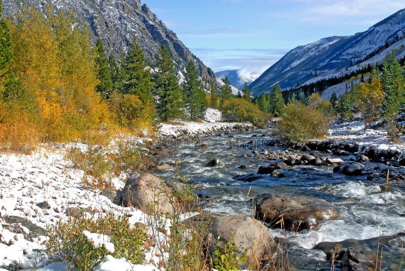 Creek in Beartooth Wilderness Stock Image - Image of elevation, montana ...