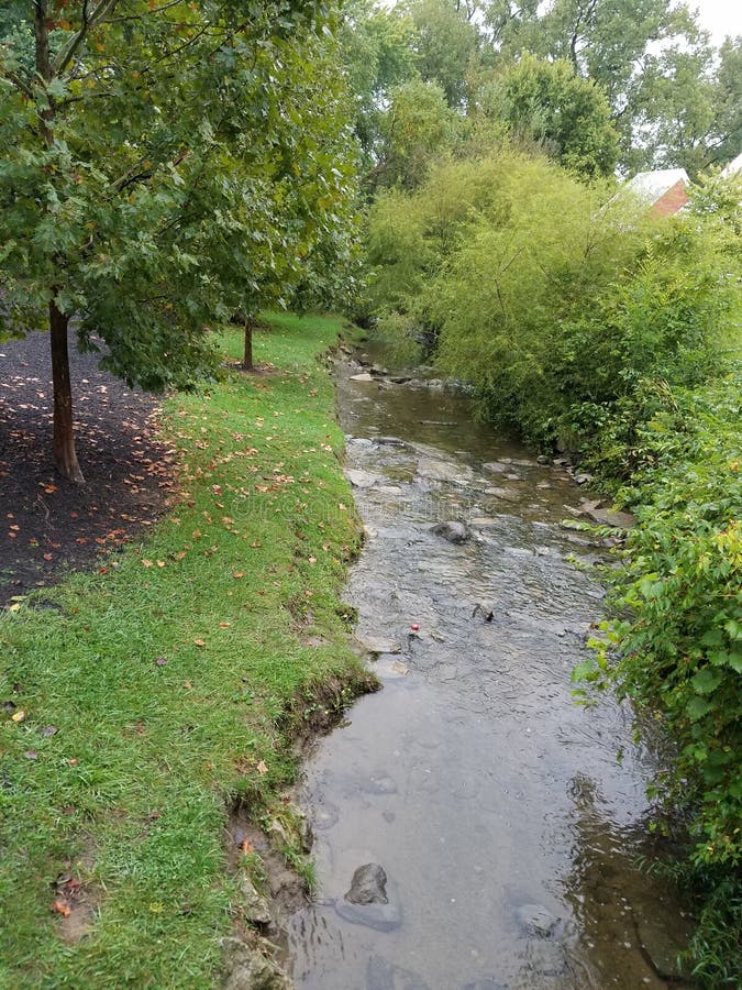 Creek bed after the rain stock photo. Image of gantz - 103567682