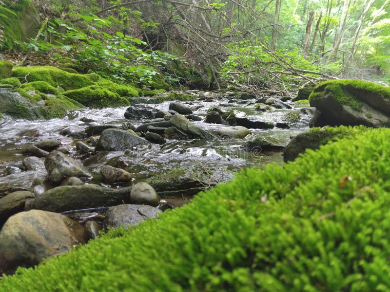 Creek from big mossy rocks stock image. Image of creek - 320371737