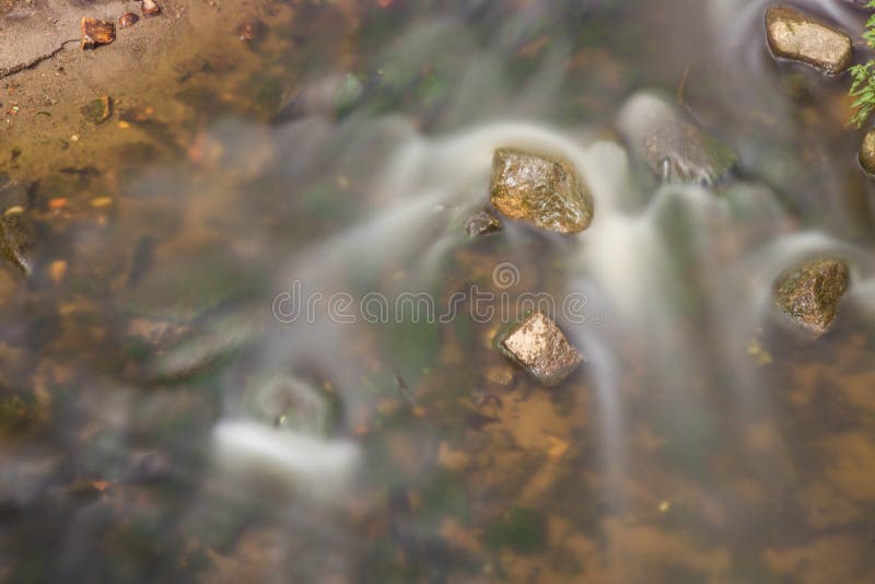 A Creek bottom stock image. Image of moss, decor, horizontal - 153210105