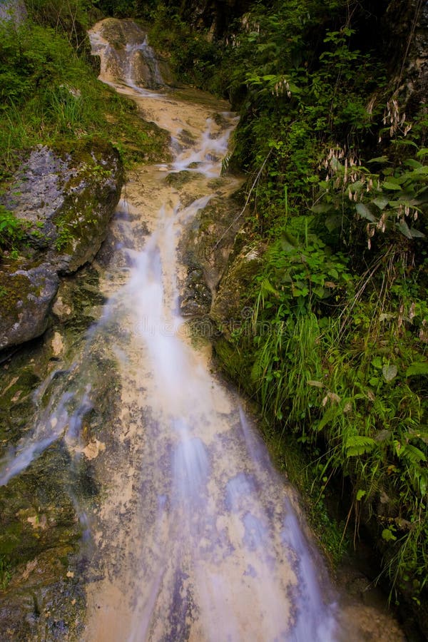 Creek channel stock image. Image of water, moss, cholersbach - 11666259