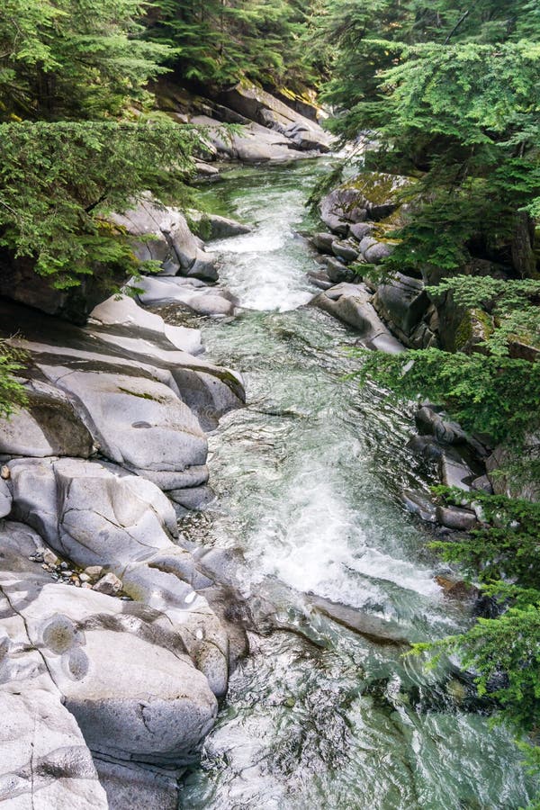 Creek with Clear Water 2 stock photo. Image of water - 168825554