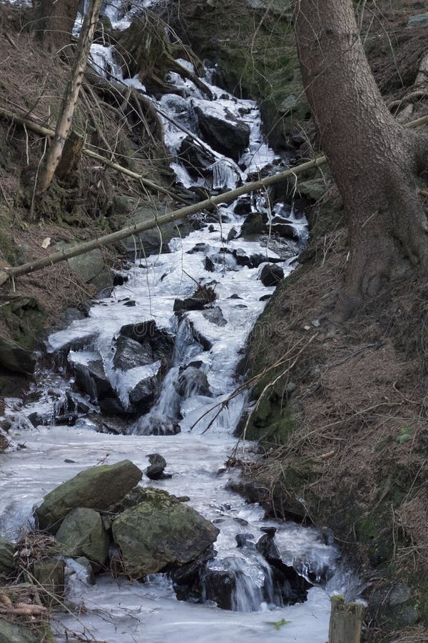 A Creek on a Cold Winter Day Stock Image - Image of drinking, frosty ...