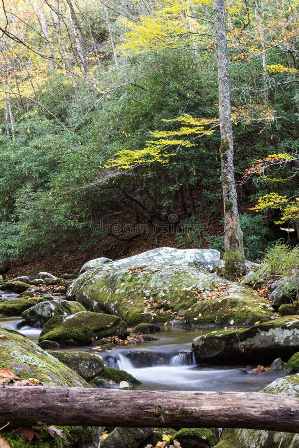 Creek with Deadfall Tree in the Lower Foreground with Bare Branches ...