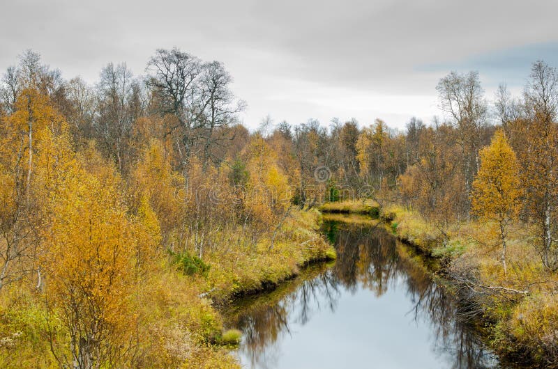 Creek in the fall stock photo. Image of calm, fall, scenics - 27341056
