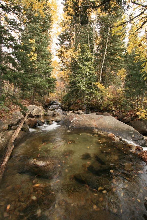 Creek In Fall With Aspens #1 Picture. Image: 1391667