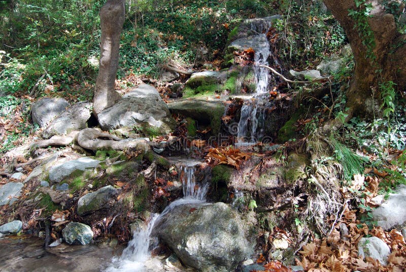 Creek fall in Greece stock photo. Image of oregon, rivers - 46128166