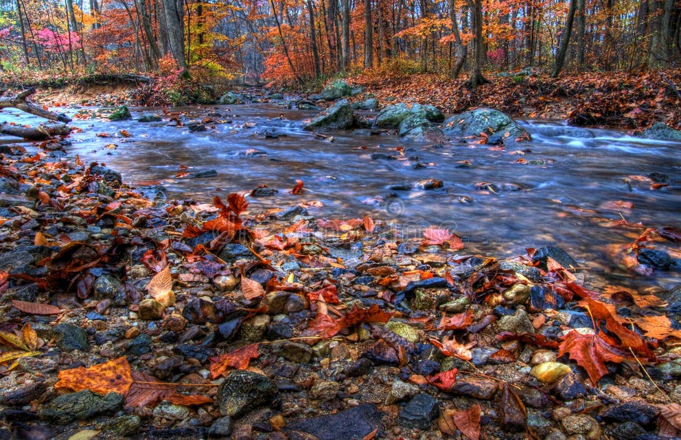 Creek in Fall Season stock image. Image of color, foliage - 11613083