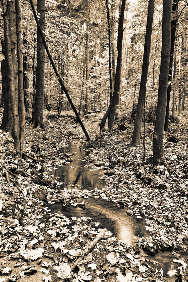 Creek in fall time stock image. Image of outdoor, peaceful - 22245225