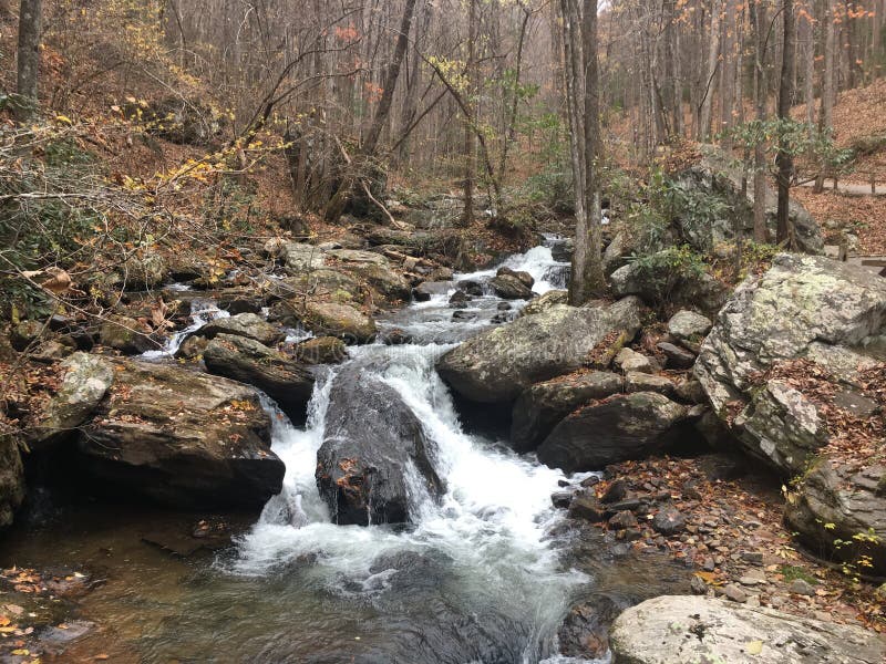 A Creek Falling Over Rocks through the Forest Stock Image - Image of ...