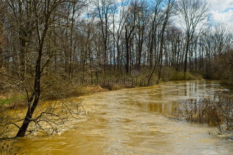 Creek Flowing High after Spring Rains Stock Image - Image of ...