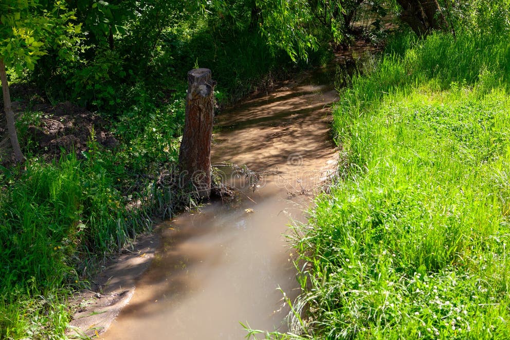 Creek Flows in an Spring Season Stock Photo - Image of environmental ...