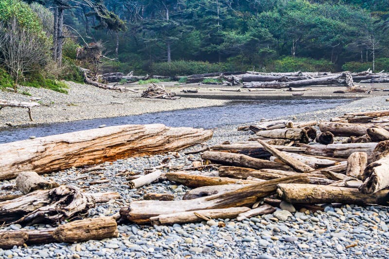 Ruby Beach Creek 5 stock image. Image of flowing, creek - 232111151