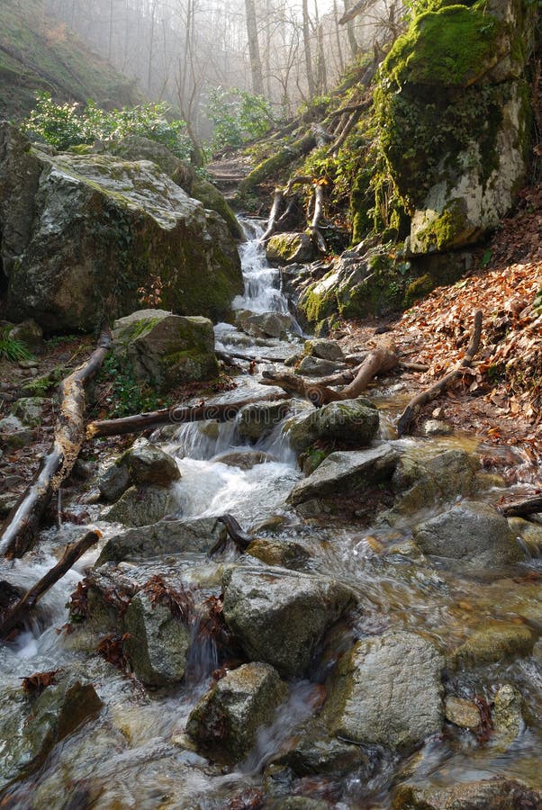 Creek in the forest stock photo. Image of splash, bubble - 2037360