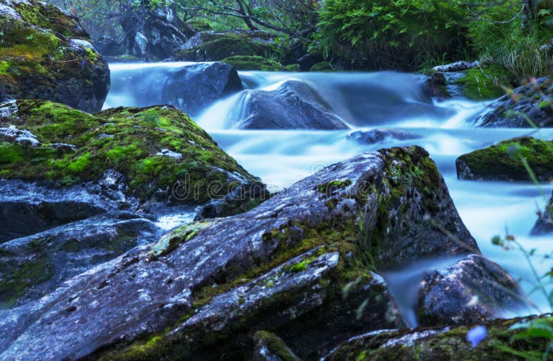 Creek in forest stock image. Image of wood, landscape - 54166711