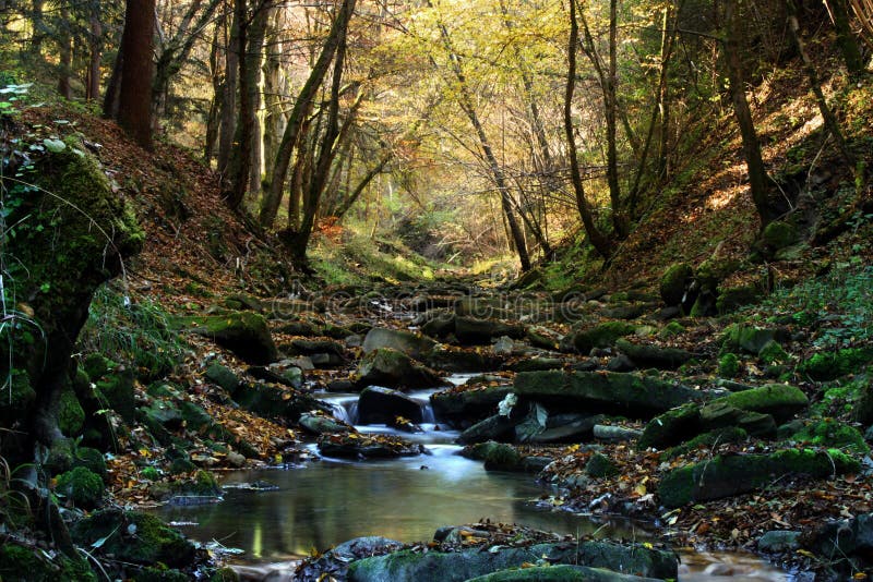 Creek in the forest stock photo. Image of zagoroxoria - 166694314