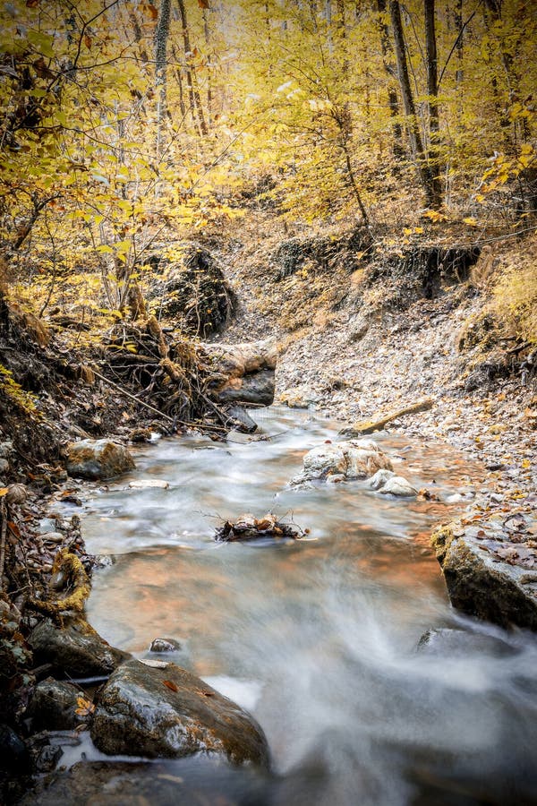 Creek in forest in autumn stock photo. Image of foliage - 34686200