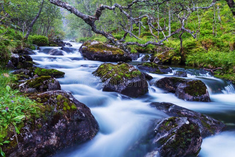 Creek in forest stock photo. Image of landscape, autumn - 34095904