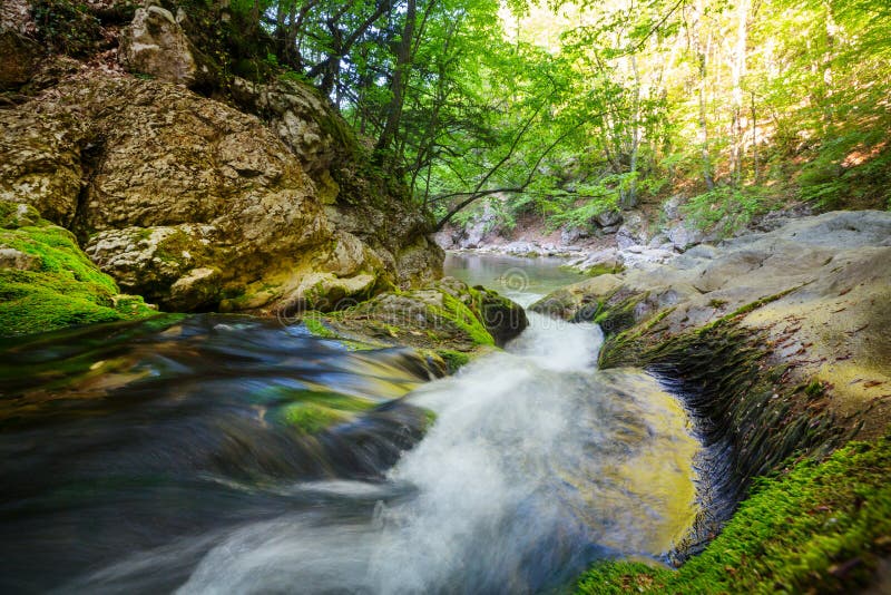 Creek in the forest stock image. Image of season, outdoor - 148927229