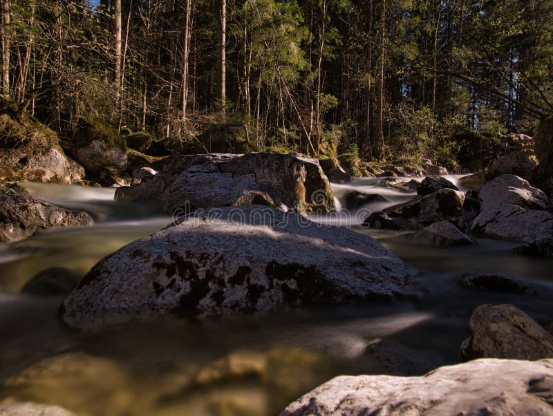 Creek at Forest Clearing with Rocks in the Water Stock Image - Image of ...