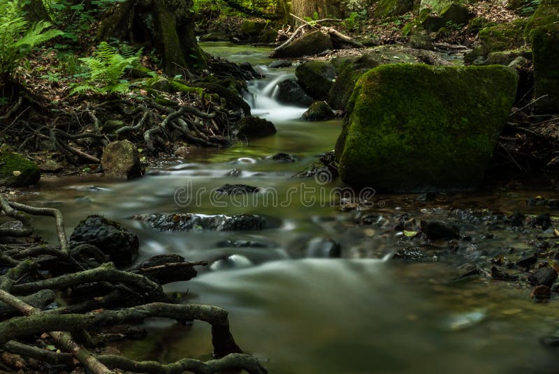Creek in the forest stock photo. Image of milky, bank - 32409210