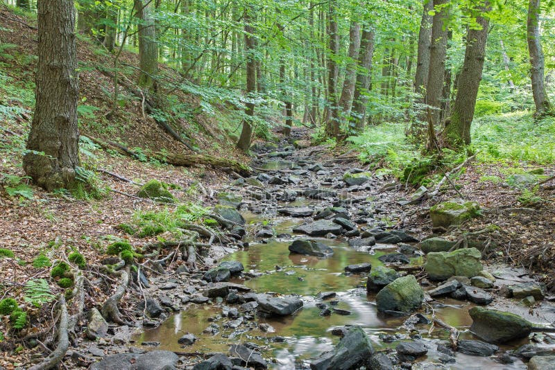 Creek in Forest of Little Carpathian Hills Stock Image - Image of ...