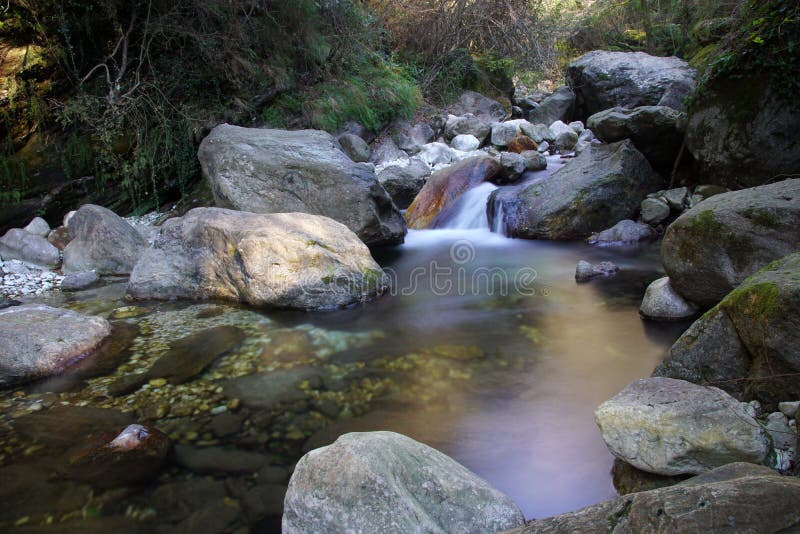 Creek in the Forest with Rocks Stock Photo - Image of rocks, stream ...